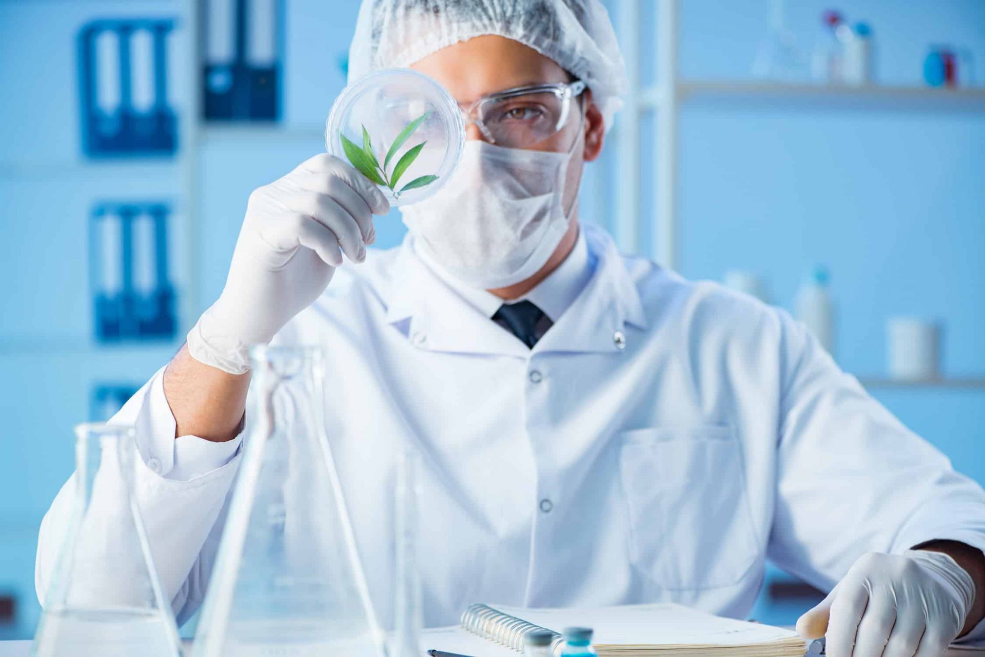 Cannabis Testing Regulations in Oklahoma | PureLabs OKC Cannabis Testing Regulations in Oklahoma | PureLabs OKC